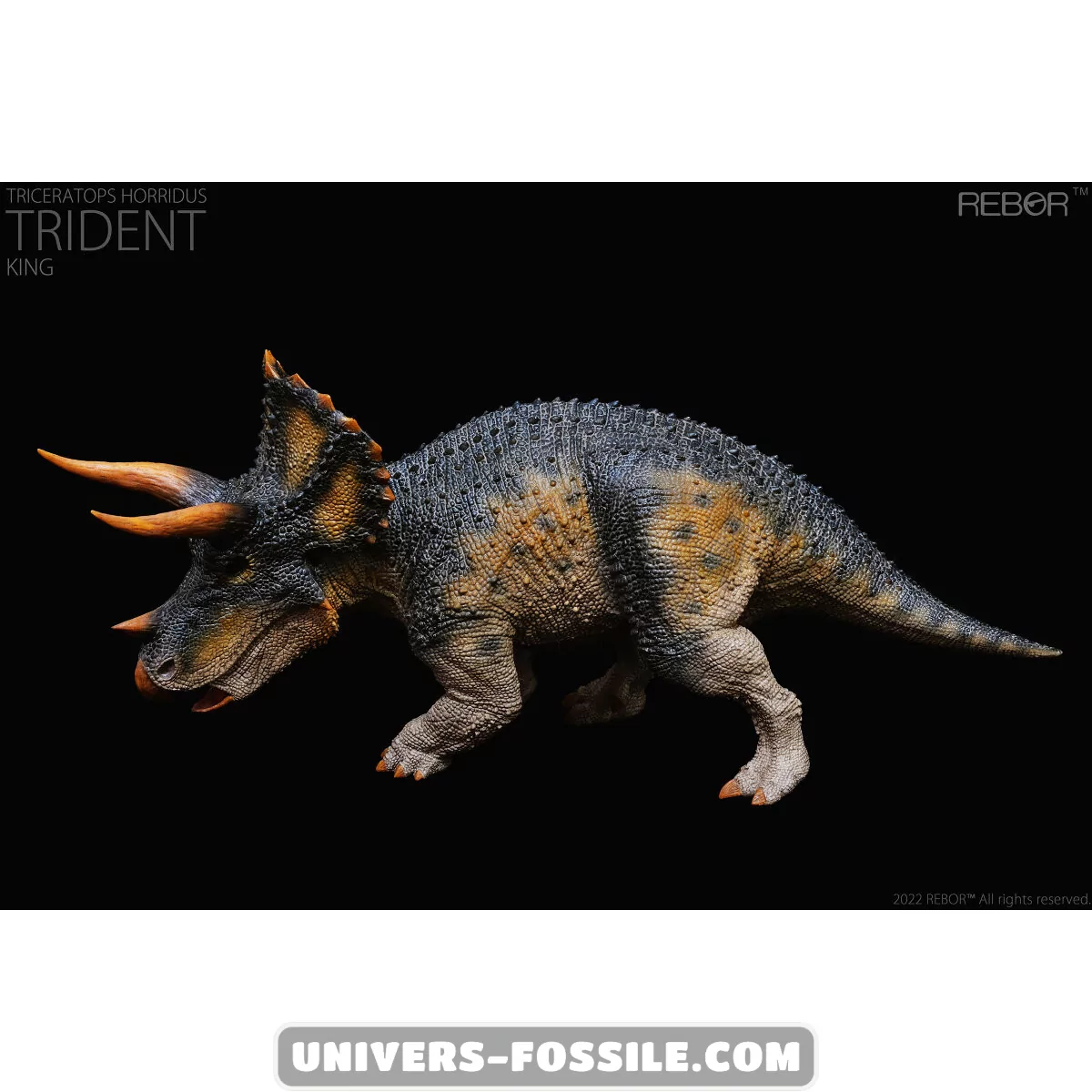 Triceratops horridus Museum Class Replica 1/35e - Trident King ...