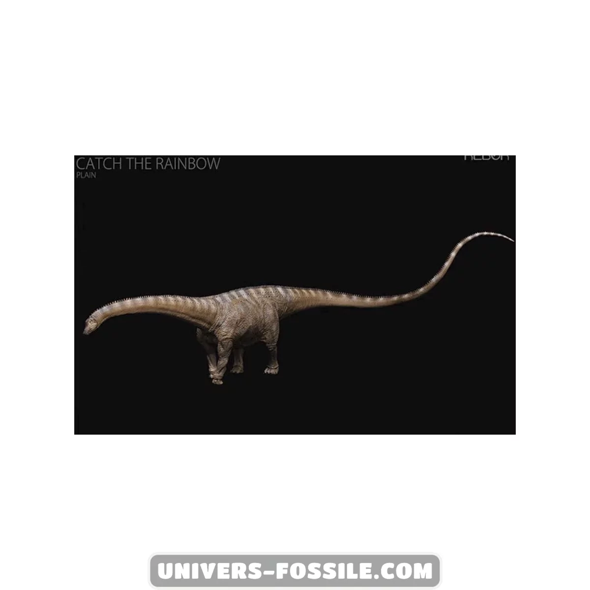 Diplodocus carnegii Museum Class Replica 1/35e - Univers Fossile